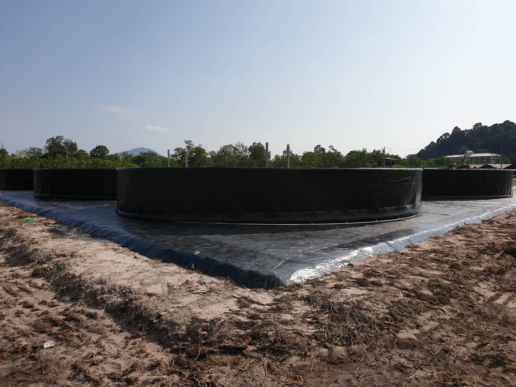 TREATMENT POND WITH HDPE LINING AND 100MT NURSERY TANK - Macro Saga
